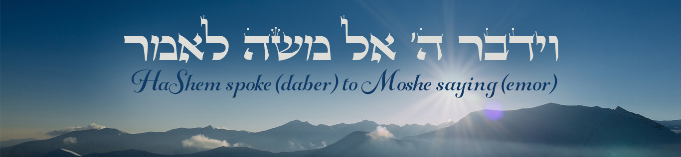 THE EMOR PROJECT | EmorProject