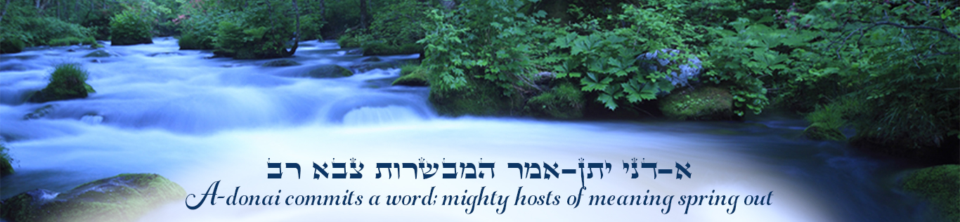 THE EMOR PROJECT | EmorProject