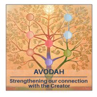 INFOGRAPHIC P-3 AVODA | EmorProject